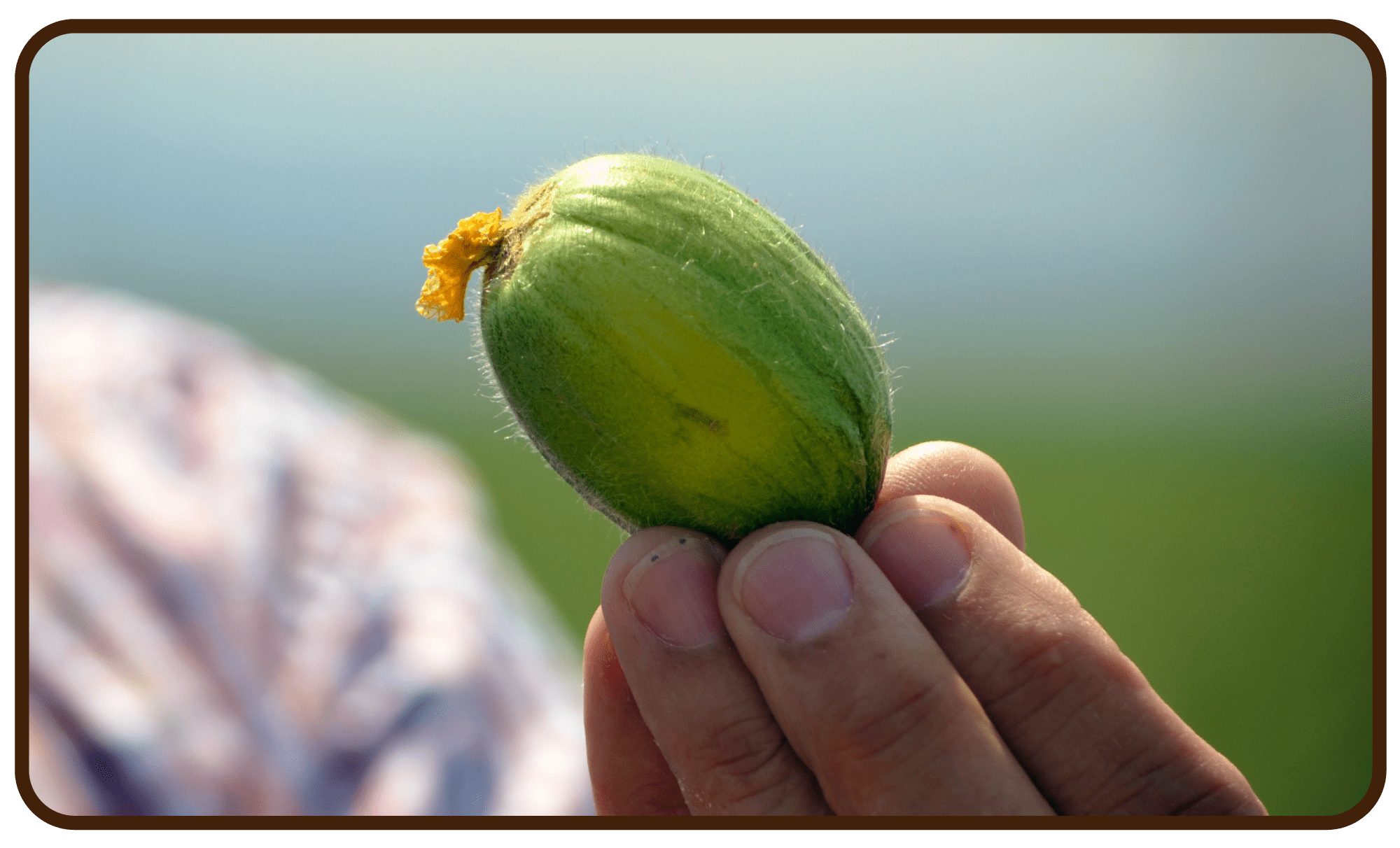 Food Safety - Westside Produce
